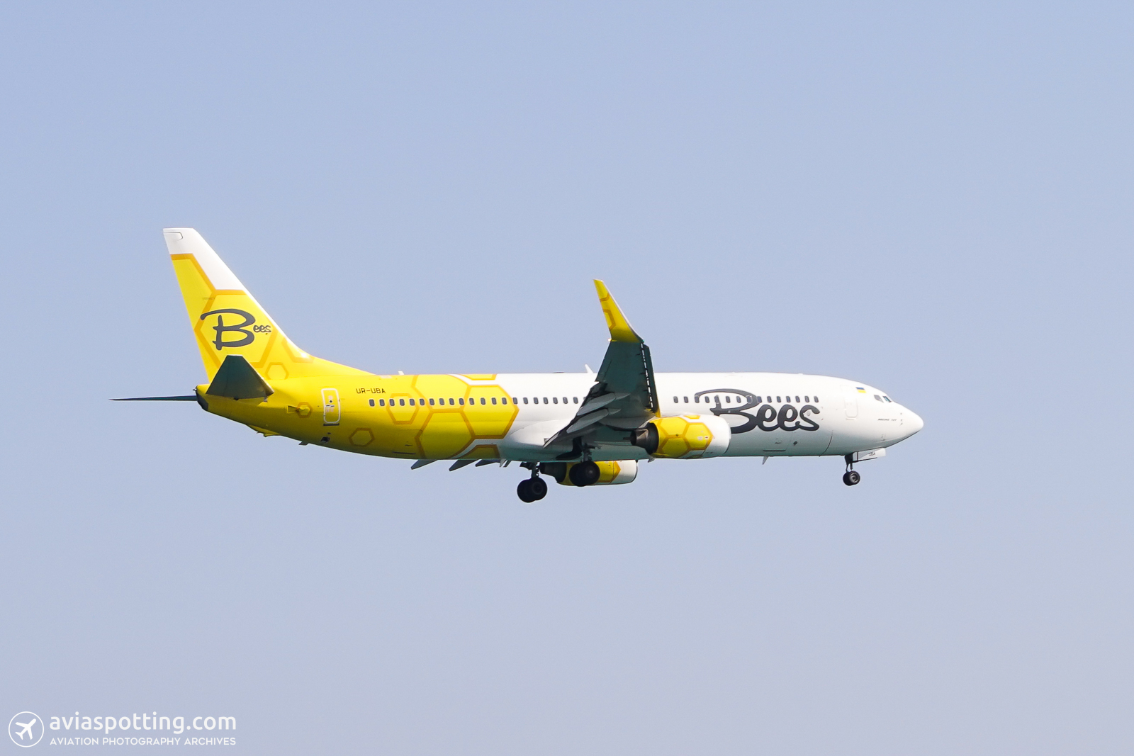 UR-UBA B737-800 Bees Airline LCA – aviaspotting.com
