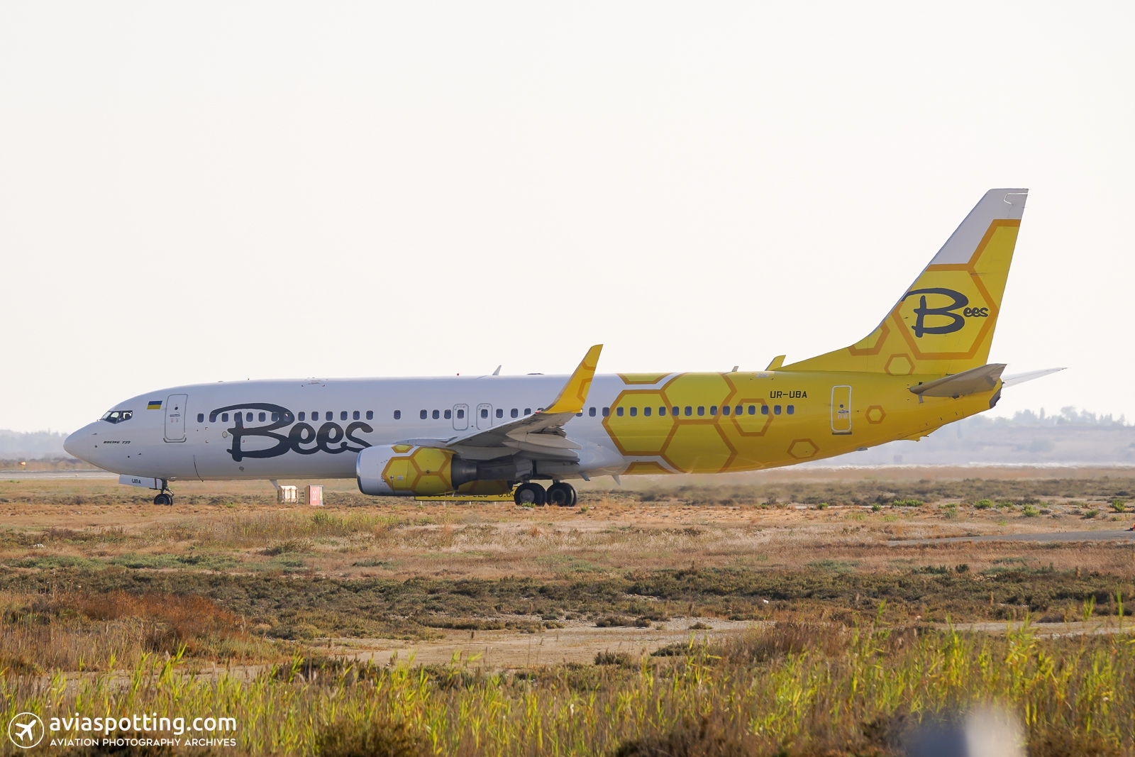 UR-UBA B737-800 Bees Airline LCA – aviaspotting.com