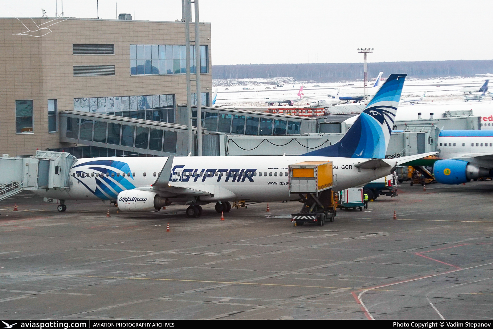 SU-GCR B737-800 Egyptair DME – aviaspotting.com