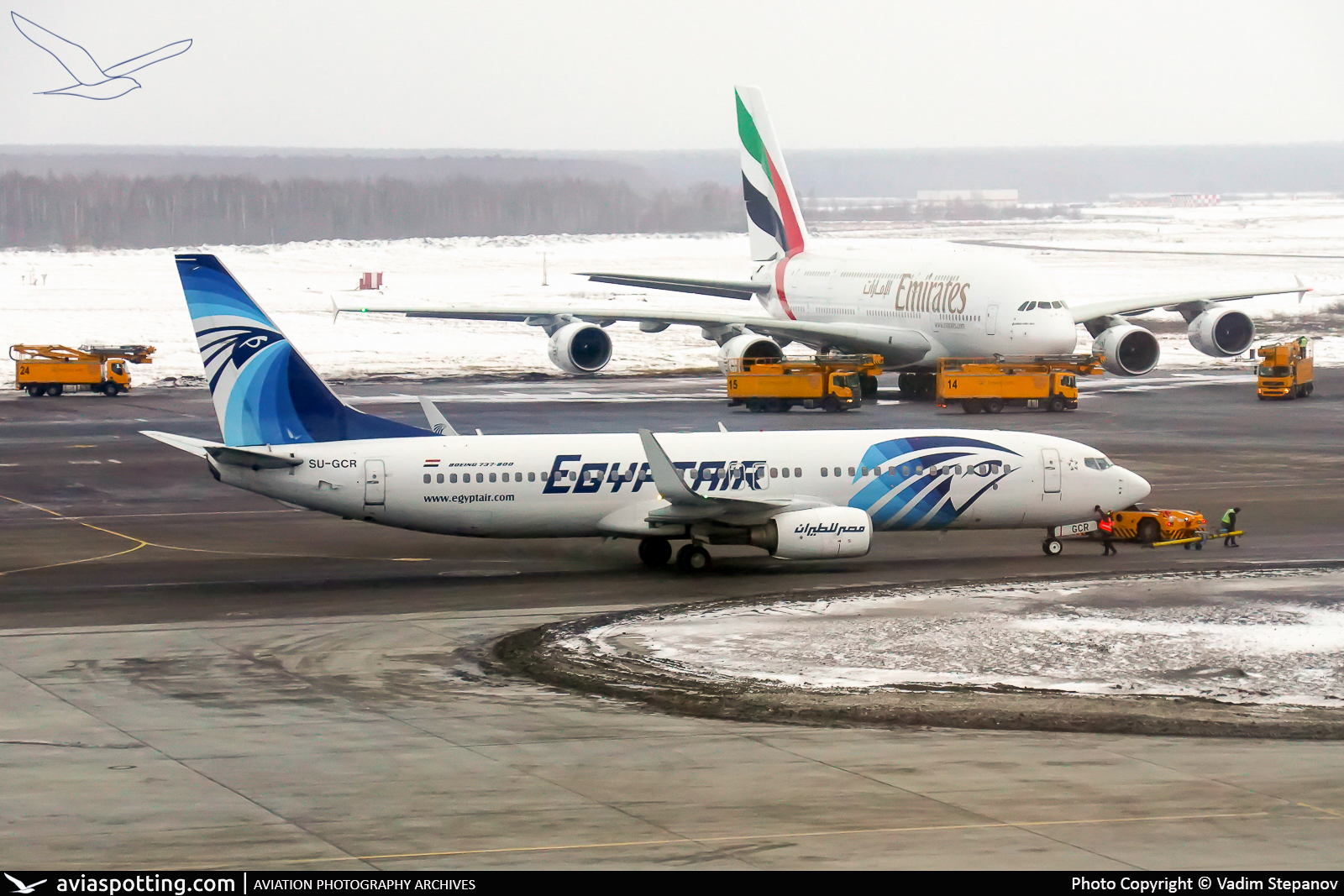 SU-GCR B737-800 Egyptair DME – aviaspotting.com